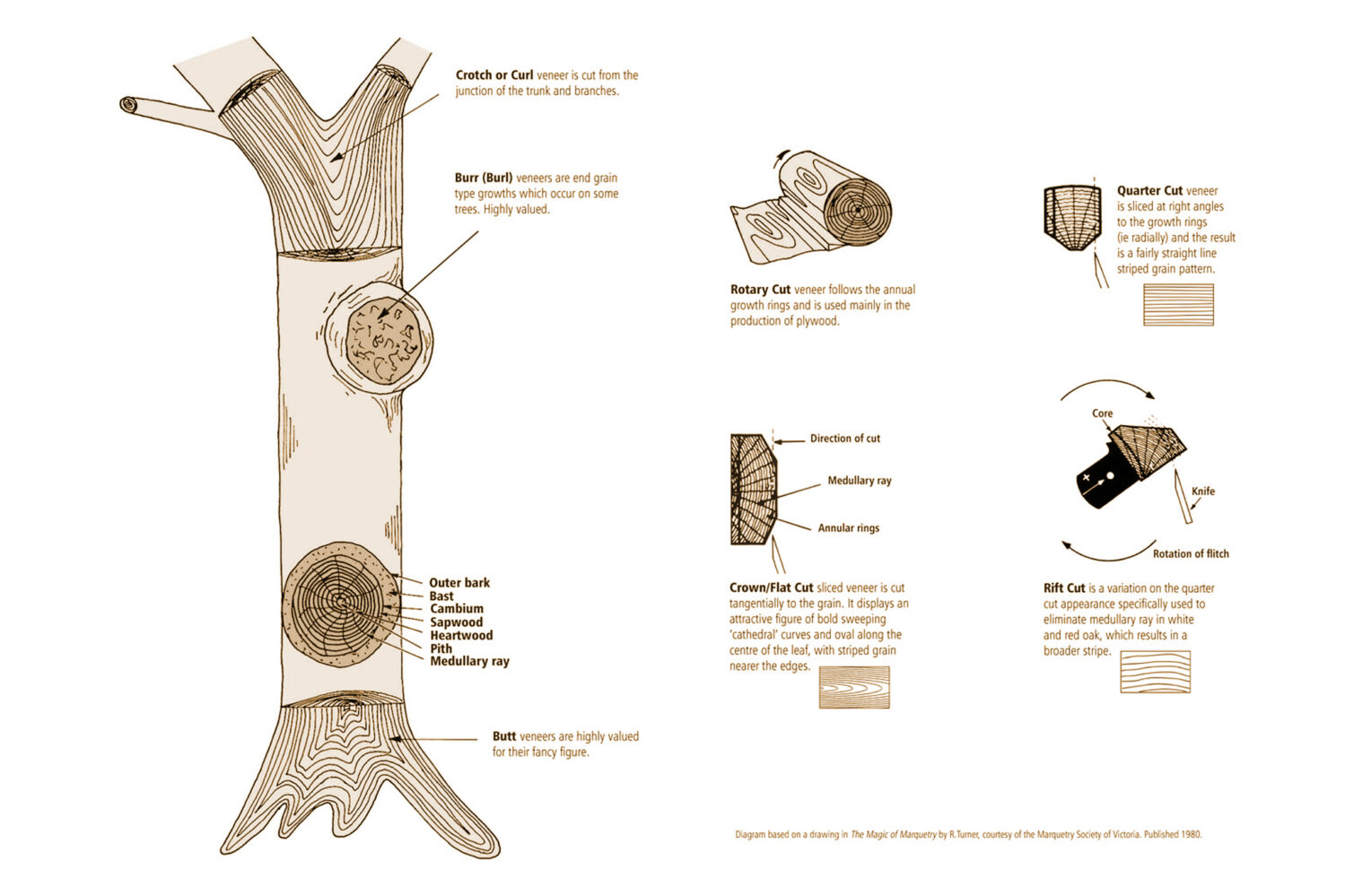 Types of timber veneer cuts: Crown cut, quarter cut and rotary | Elton ...